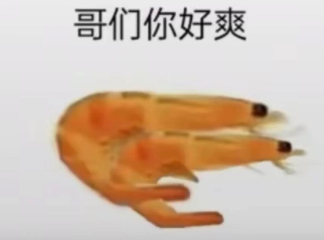 不是哥们表情包 哔哩哔哩