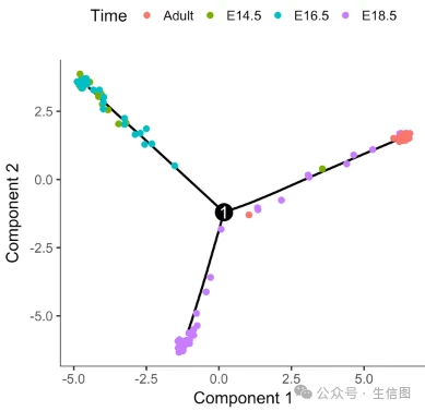 单细胞Monocle2 的那些提分小细节，你注意到了嘛？ - 哔哩哔哩