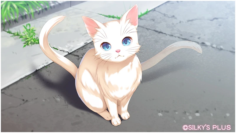 【Gal周报148期】《异想魅惑2》官网公开，《甜蜜女友2+》民汉发布 - 哔哩哔哩