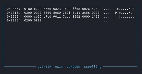 Yersinia：layer 2攻击框架！全参数详细教程！Kali Linux教程！ - 哔哩哔哩