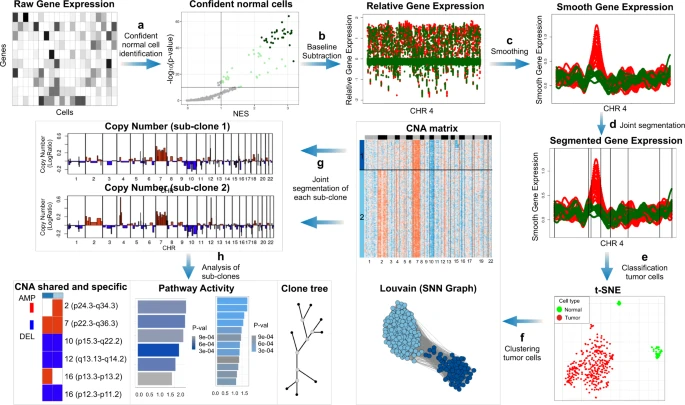 《NC》| SCEVAN:从scRNA-seq中检测肿瘤克隆拷贝数亚结构 - 哔哩哔哩