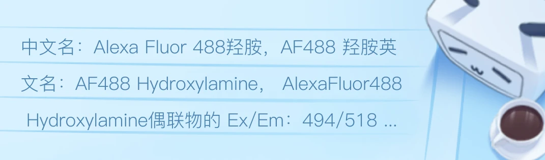 AF488 羟胺，AF488 Hydroxylamine，用于成像和流式细胞分析中稳定信号的生成 - 哔哩哔哩