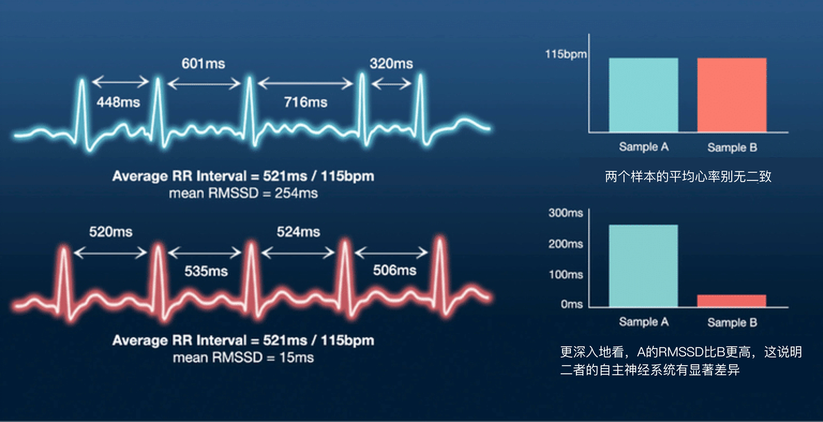 一文解决关于佳明HRV 99%的疑惑以及深入理解HRV的原理 - 哔哩哔哩