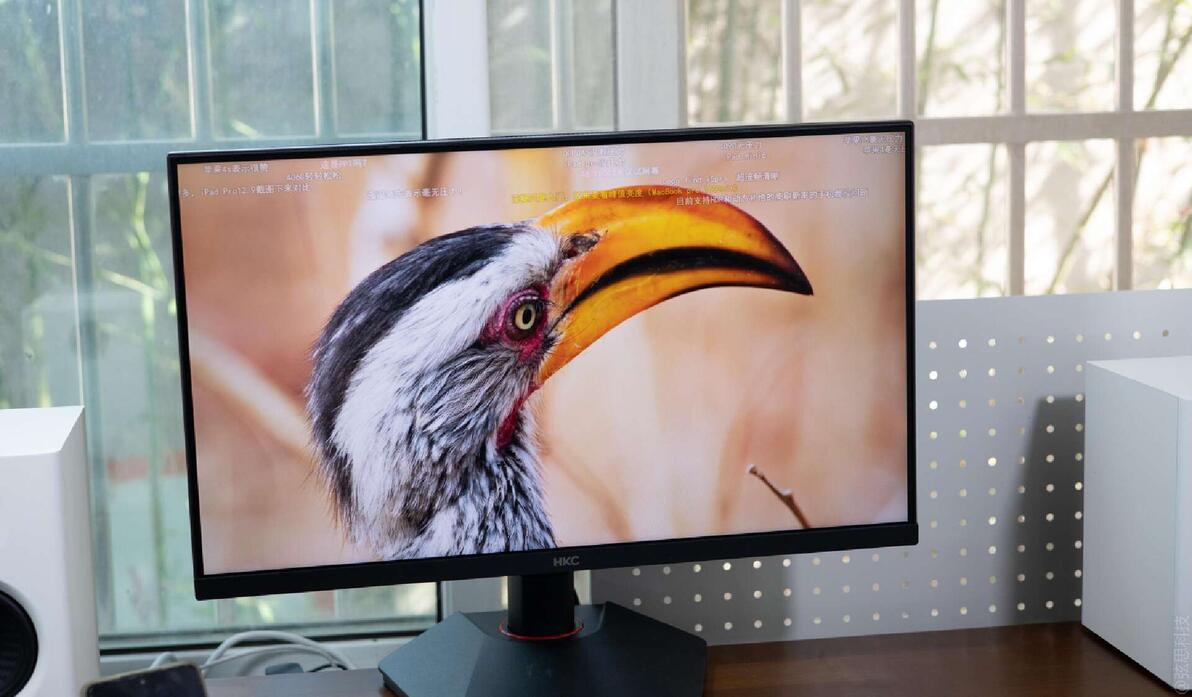 千元内最强小屏电竞显示器：HKC G24H2体验 - 哔哩哔哩