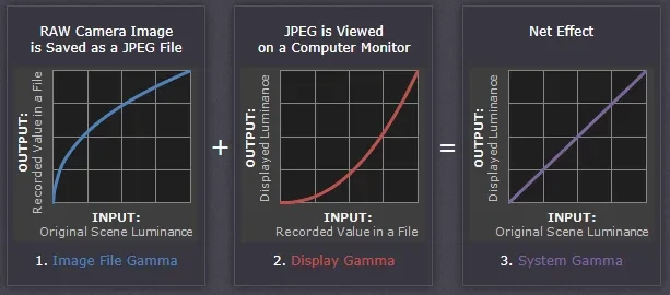 3ds Max 2025 中的 OCIO 与 Gamma 校正 - 哔哩哔哩