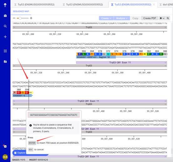 sgRNA设计教程（一）——Benchling - 哔哩哔哩