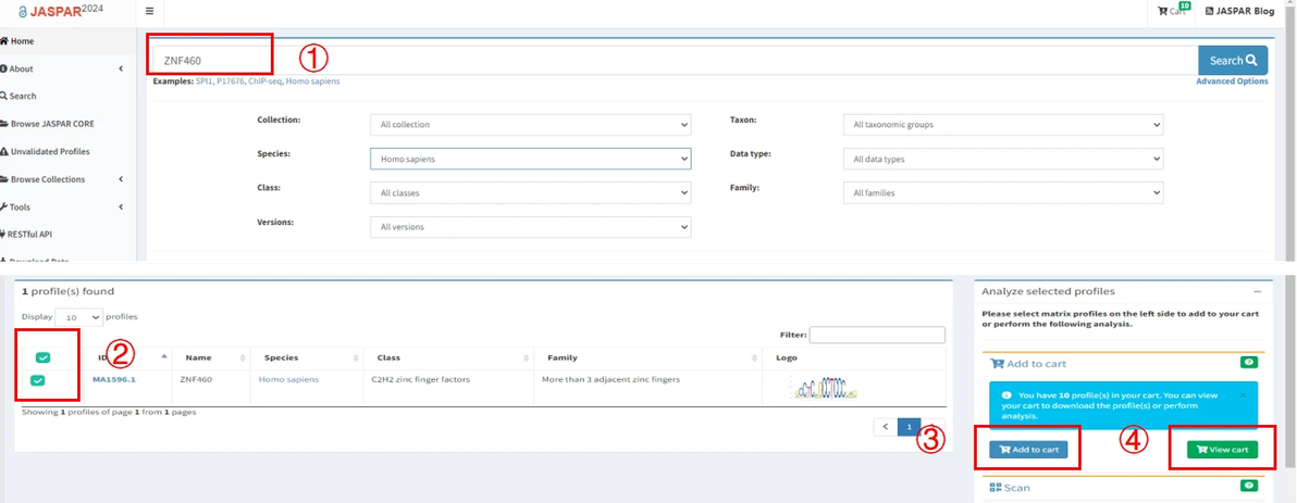 转录因子预测及优化策略-NCBI、JASPAR、UCSC数据库联用 - 哔哩哔哩