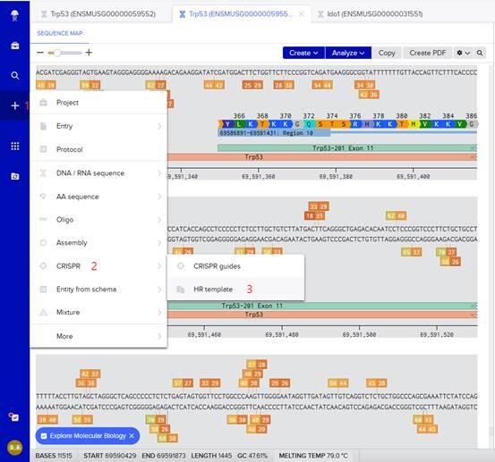 sgRNA设计教程（一）——Benchling - 哔哩哔哩