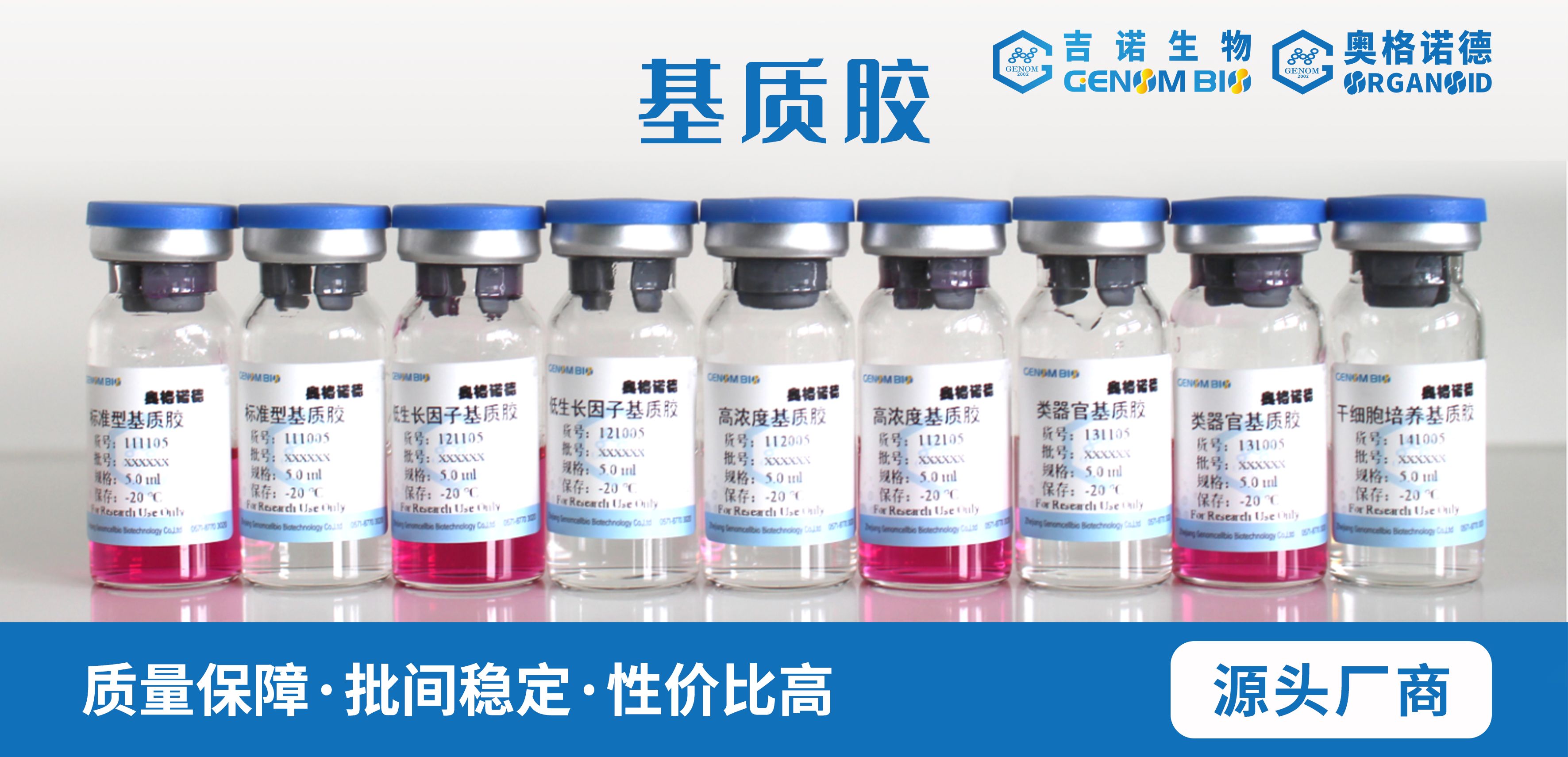 一张图看懂Seahorse分析仪检测OCR/ECAR的意义，再顺便复习复习 - 哔哩哔哩