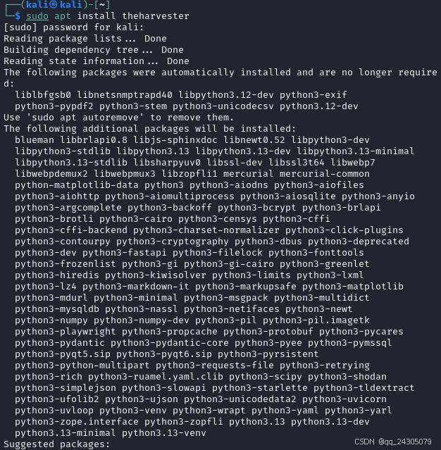 theHarvester：开源情报 (OSINT) 和侦察的必备工具！全参数详细教程！Kali Linux教程 - 哔哩哔哩