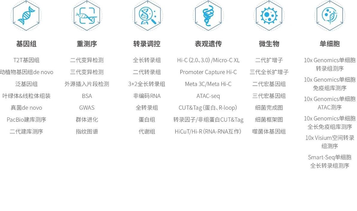 基于图形泛基因组的群体GWAS实操代码《一》：基于vcf文件构建图形泛基因组 - 哔哩哔哩