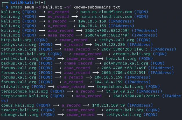 amass：深入攻击面映射和资产发现工具！全参数详细教程！Kali Linux教程！ - 哔哩哔哩