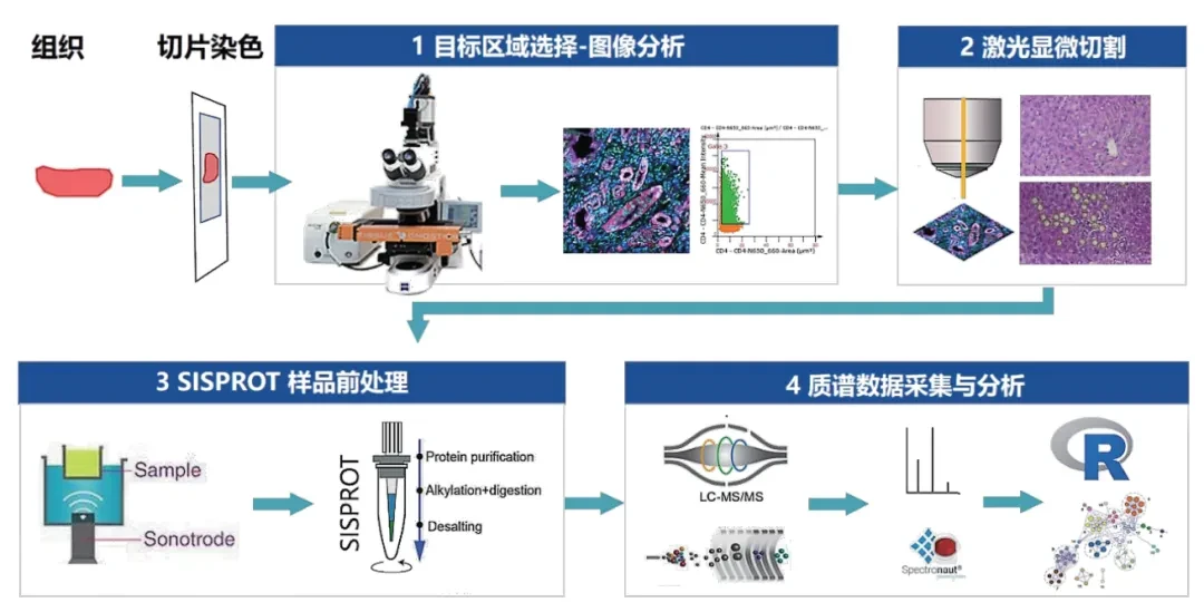 AI赋能蛋白复合物解：迈维代谢×万乘蛋白共筑功能蛋白组学 - 哔哩哔哩