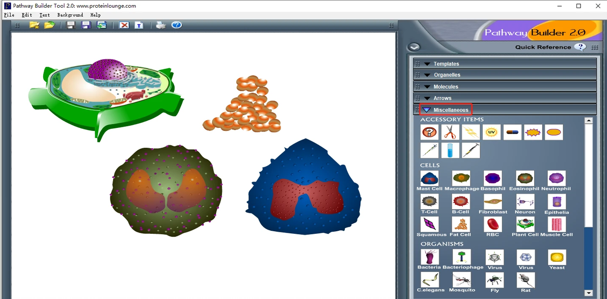 Pathway Builder Tool，分分钟搞定高大上的细胞信号通路图！ - 哔哩哔哩