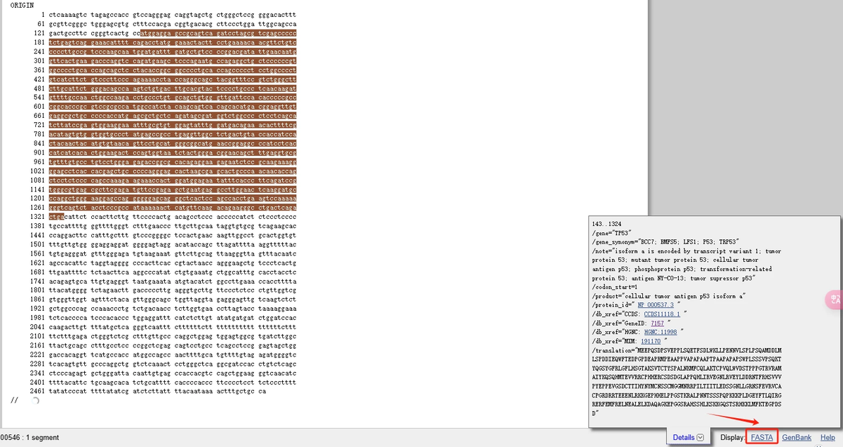 Snapgene引物设计+引物验证超详细指南！（附Snapgene中文版安装包） - 哔哩哔哩