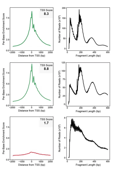 ATAC seq文库质量控制 - 哔哩哔哩