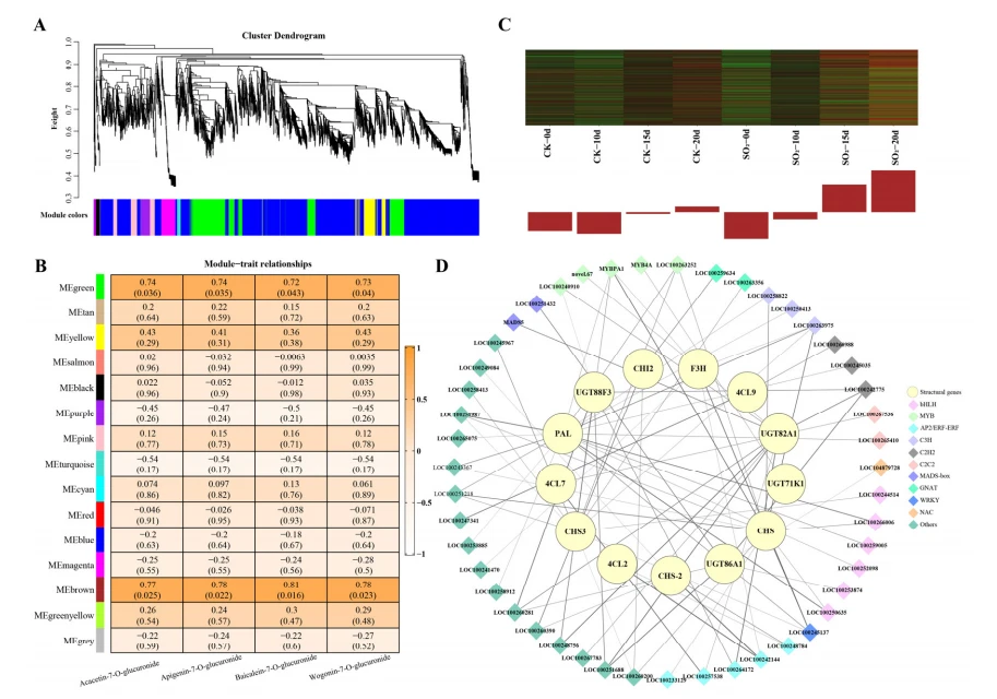 三篇文章认证！MetMap™如何成为代谢组研究的神器？ - 哔哩哔哩