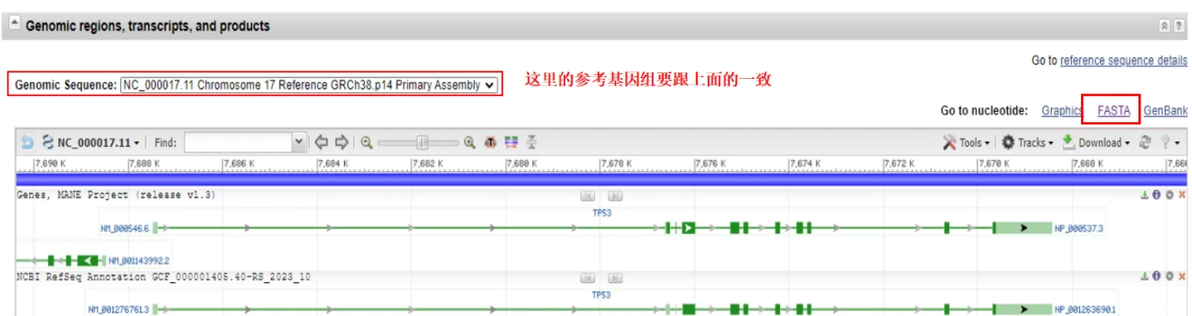 转录因子预测及优化策略-NCBI、JASPAR、UCSC数据库联用 - 哔哩哔哩