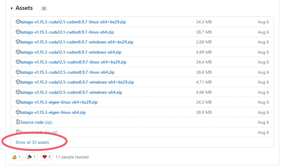 安装Katago TRT版本步骤 - 哔哩哔哩