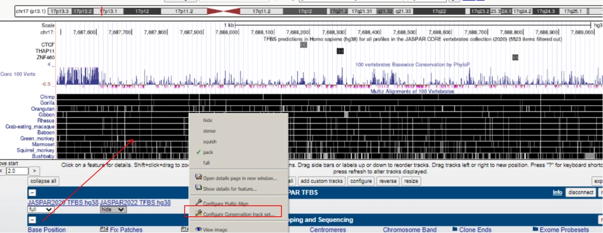 转录因子预测及优化策略-NCBI、JASPAR、UCSC数据库联用 - 哔哩哔哩