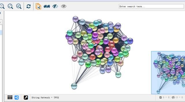 一网打尽：cytoscape详细教程 - 哔哩哔哩