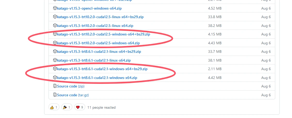 安装Katago TRT版本步骤 - 哔哩哔哩