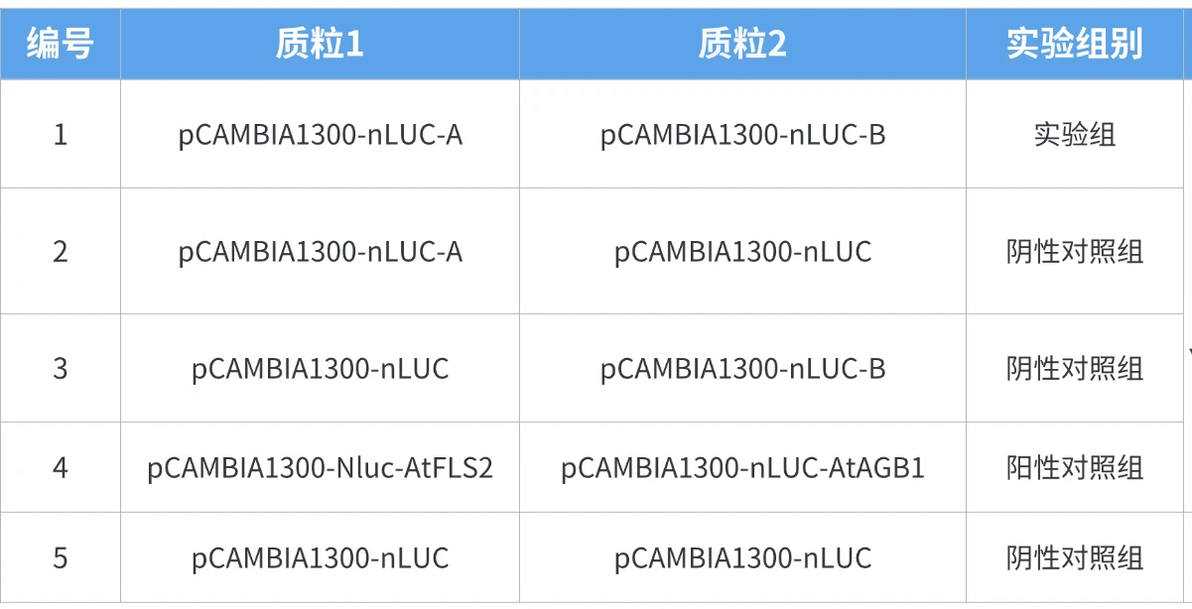 荧光系列技术对比：BiFC、LCA与DLR技术全解析 - 哔哩哔哩