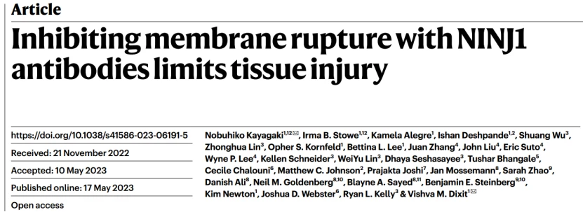 Nature | NINJ1 细胞死亡研究领域新进展 - 哔哩哔哩