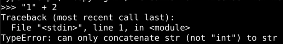 [oeasy]python075_什么是_动态类型_静态类型_强类型_弱类型_编译_运行 - 哔哩哔哩