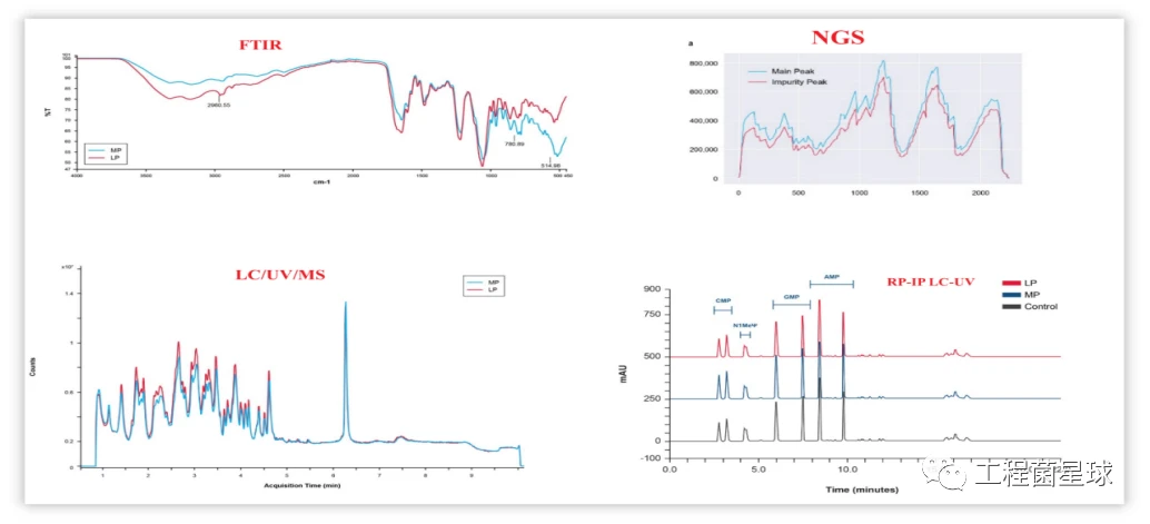 【耀文解读】基于IP-RP-HPLC分析mRNA疫苗中的杂质：脂质 mRNA加合物 - 哔哩哔哩