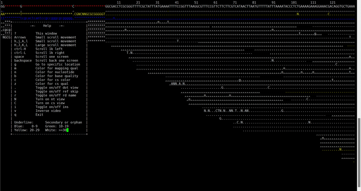 使用SAMtools软件进行序列可视化展示 - 哔哩哔哩