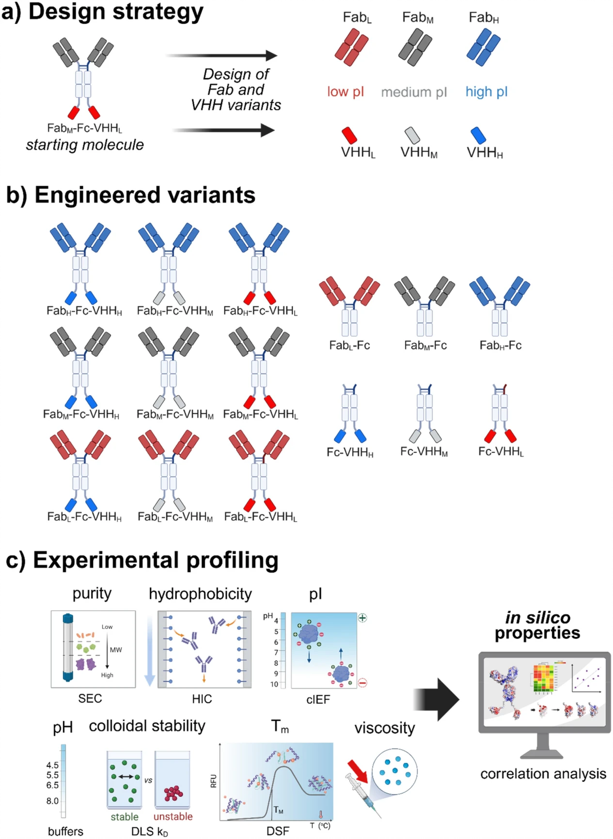 文献分享：双特异性抗体的稳定性设计 - 哔哩哔哩