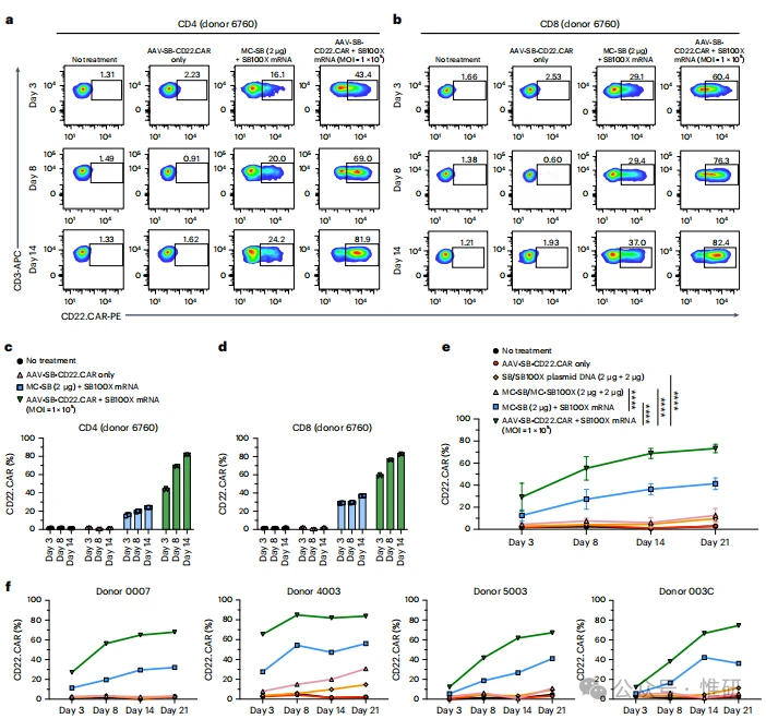 Nature|AAV介导的 “睡美人”转座子和 mRNA 编码转座酶的传递，用于治疗性免疫细胞工 - 哔哩哔哩