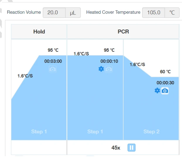 qPCR探针法方法开发 - 哔哩哔哩