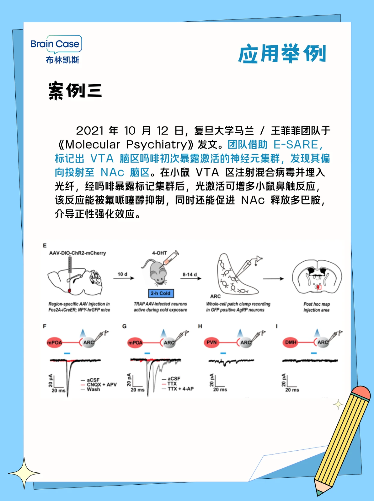 TRAP2:神经元研究的“神奇画笔”!🖊 - 哔哩哔哩