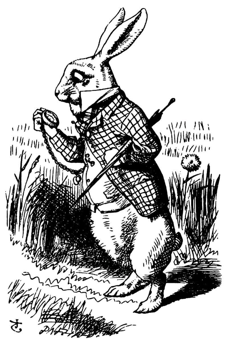 约翰·丹尼尔绘《爱丽丝漫游奇境》插图 - 哔哩哔哩