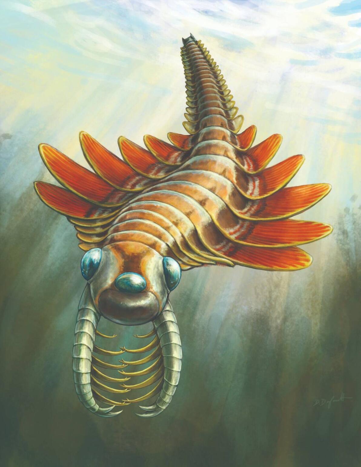 五亿年前的三眼海妖——芬氏海蛾虾（Mosura fentoni） - 哔哩哔哩