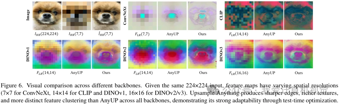 Upsample Anything：简单又强大的特征上采样基线来了，0.4秒搞定 - 哔哩哔哩