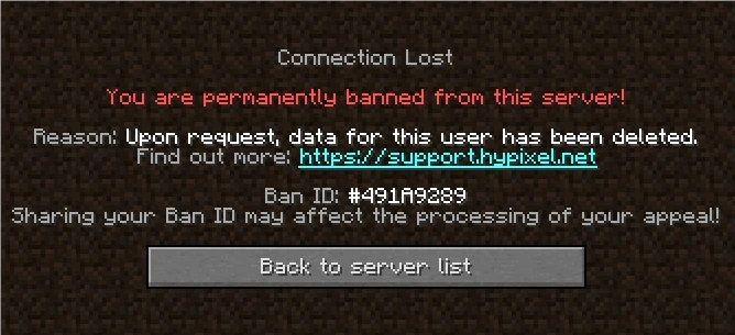 深入解析Hypixel所有处罚类型 - 哔哩哔哩