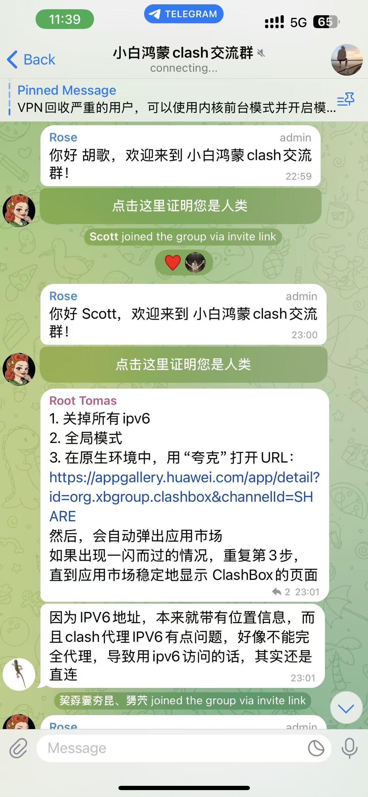 关于内地如何在鸿蒙应用商店成功安装原生代理软件clashbox - 哔哩哔哩