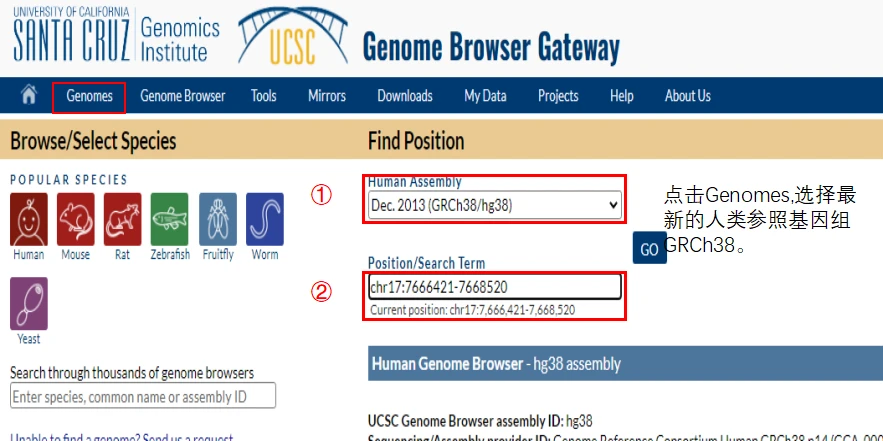 转录因子预测及优化策略-NCBI、JASPAR、UCSC数据库联用 - 哔哩哔哩