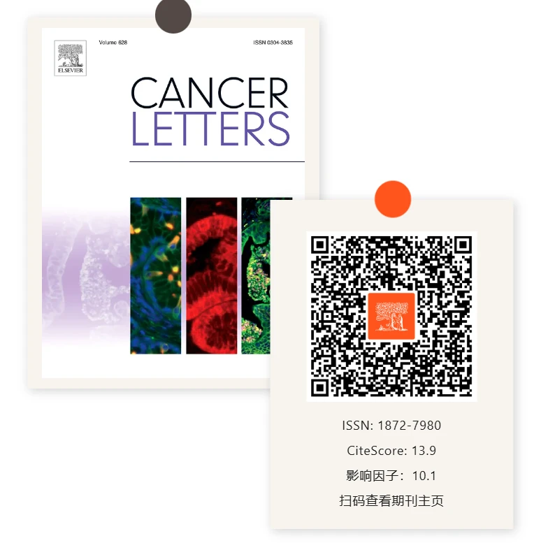 Cancer Letters创刊五十周年，影响因子首破10，继续引领全球肿瘤研究 - 哔哩哔哩