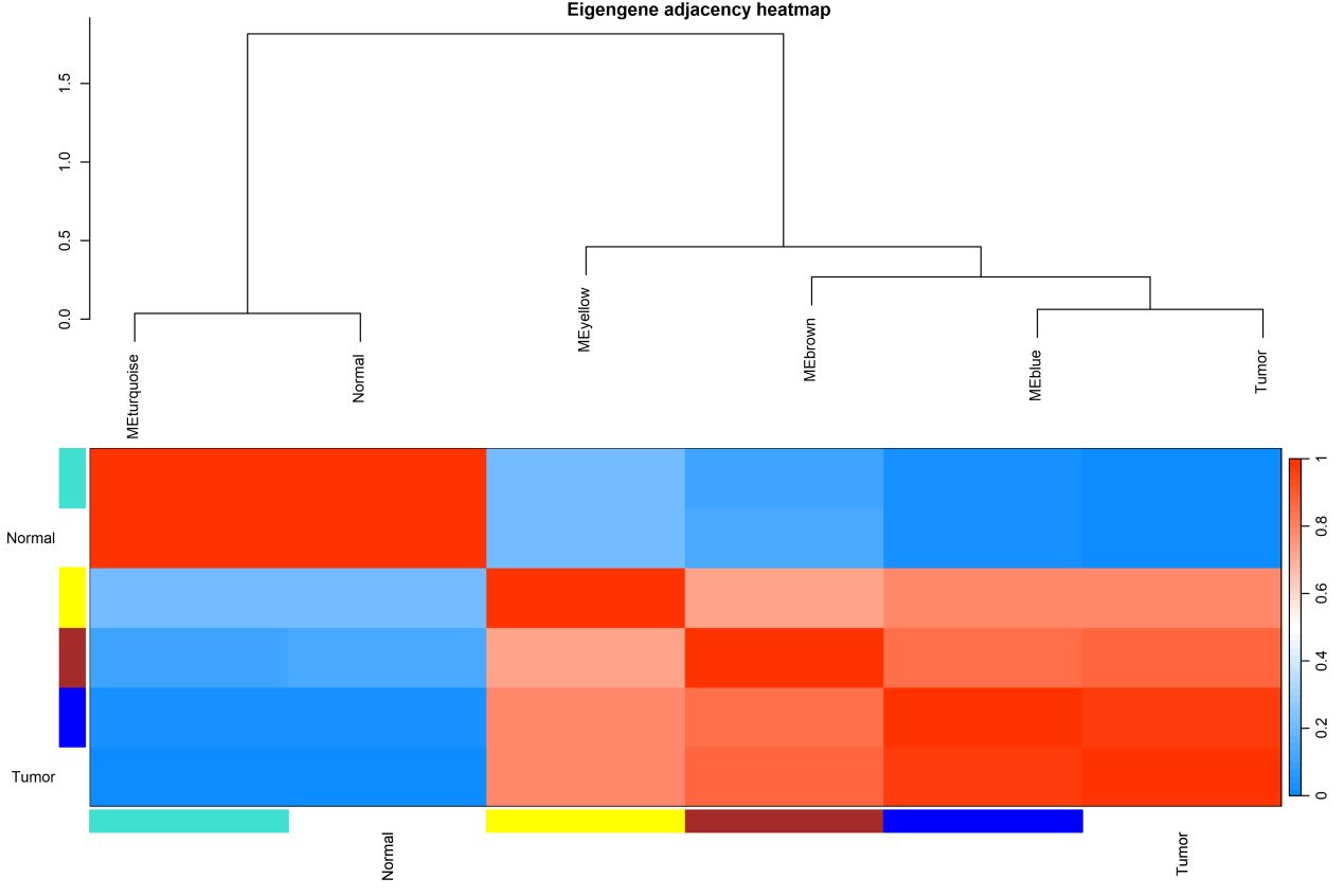 WGCNA加权共表达分析全流程分析教程 - 哔哩哔哩