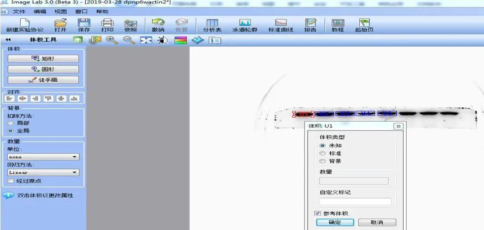 如何用Image lab分析Western Blot条带？（附安装包） - 哔哩哔哩