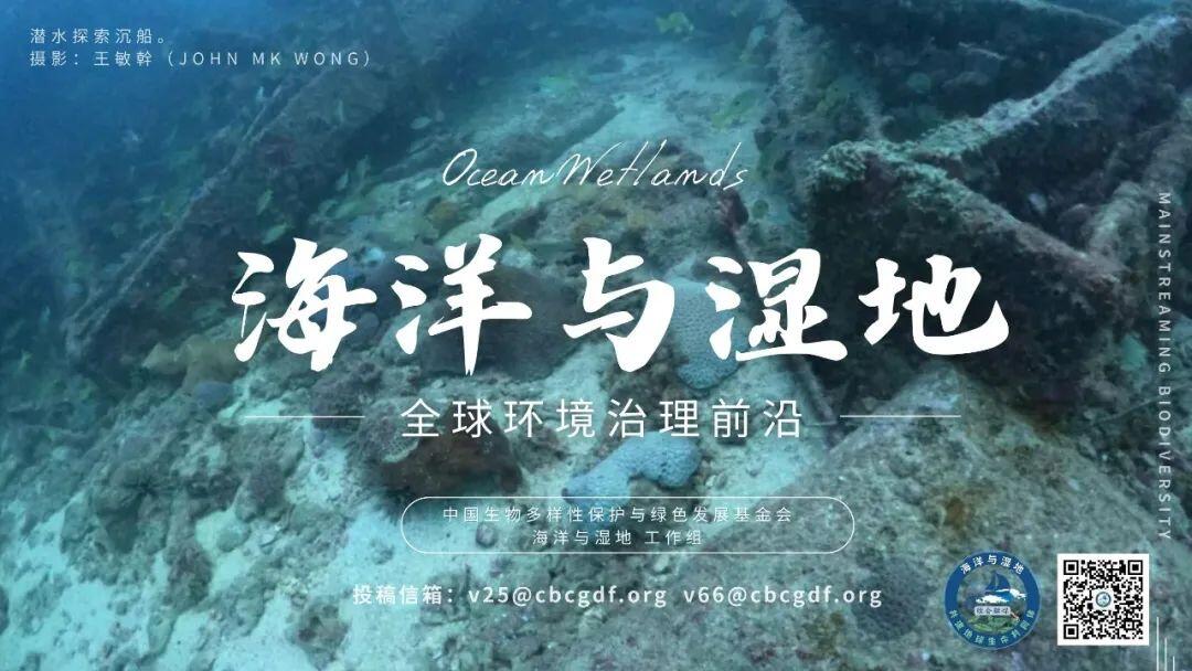 《海洋生态系统状态与健康监测报告》(2023 2024年)发布 哔哩哔哩