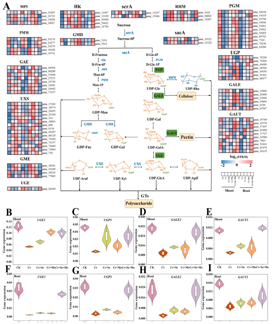 分享一个PPT+Excel绘制KEGG通路热图的方法 - 哔哩哔哩
