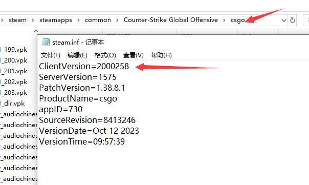 GOKZ相关指南(2024) - 哔哩哔哩