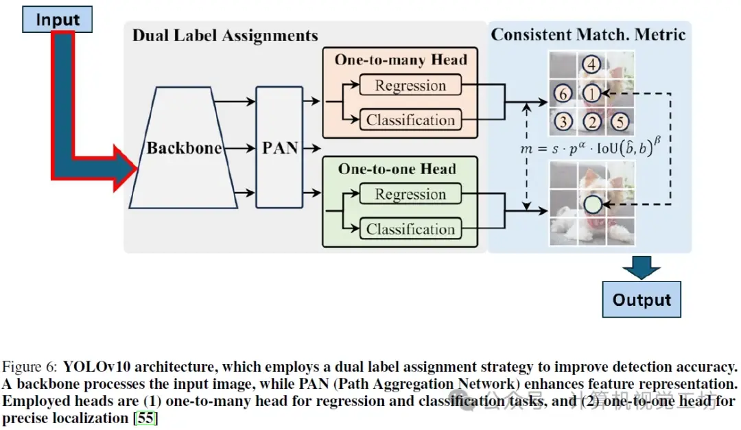 必读综述！YOLO十年之约：从起源到YOLOv10 - 哔哩哔哩