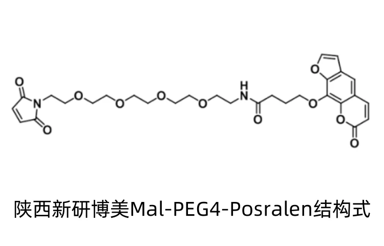 Mal-PEG4-Posralen，2770843-35-9试剂的性质与应用 - 哔哩哔哩