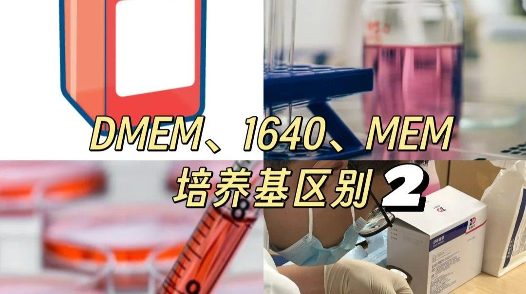 细胞培养｜DMEM、1640、MEM 培养基区别2 - 哔哩哔哩